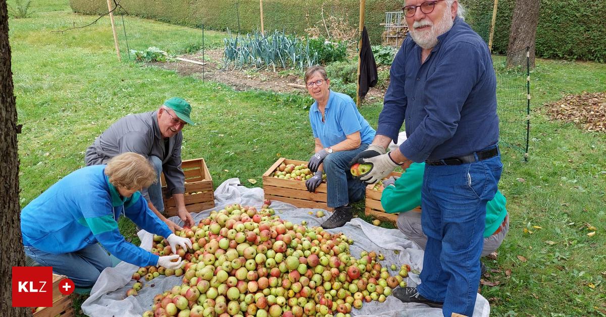 Immaterielles Kulturerbe: Streuobstwiesen als fast vergessene Kraftpakete für das Ökosystem